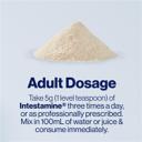 Buy BioCeuticals Intestamine® 300g online at Chemist Warehouse