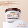 Buy Garnier Body Ceramide Nourishing Body Butter 380ml online at ...
