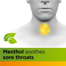 Buy Strepsils Herbal Immune Support Lozenges Honey Lemon 32 Pack online ...