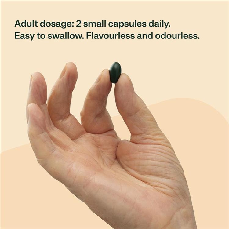 Buy Epijoint Joint Health 60 Soft Gel Capsules online at Chemist Warehouse