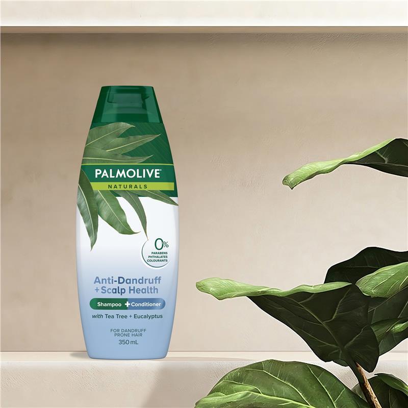 Buy Palmolive Anti-dandruff 2 in 1 Shampoo & Conditioner 350ml online ...
