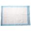 Buy Livingstone Incontinence Bluey Underpads 5-Ply, 200Pieces online at ...