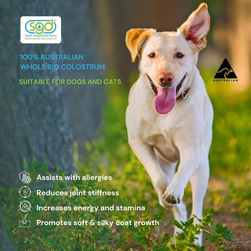 Buy SGD 100% Pure Australian Bio Colostrum Powder 60g online at Chemist ...