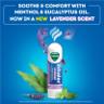 Buy Vicks Inhaler Lavender Nasal Decongestant 0.5ml online at Chemist ...