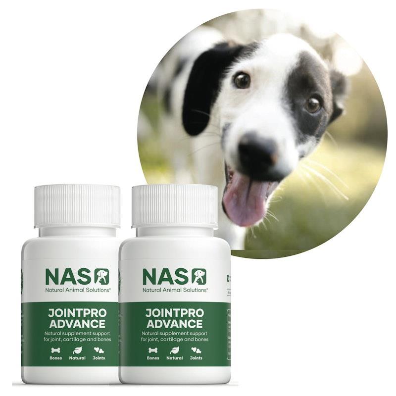 Buy Natural Animal Solutions Joint Pro Advance 60 Capsules online at ...