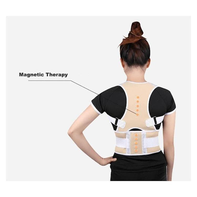 Buy Caremax Magnetic Back Support Brace Wrap X-Large online at Chemist ...