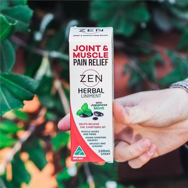 Buy Zen Joint & Muscle Relief Liniment Spray 100mL online at Chemist ...