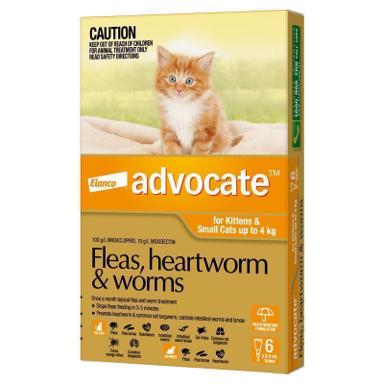 Buy Advocate Cat 0-4KG Small 6 online at Chemist Warehouse