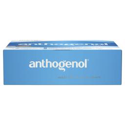 Buy Anthogenol 100 Capsules online at Chemist Warehouse