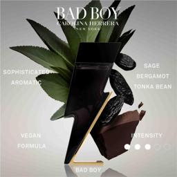 Buy Carolina Herrera Bad Boy Eau de Toilette 100ml online at Chemist ...